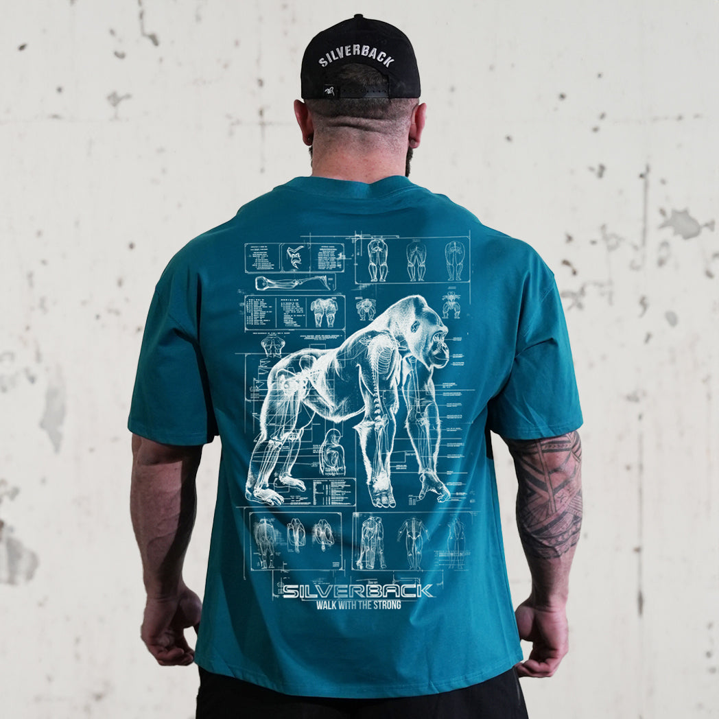 Blueprints T-Shirt - Blue - Silverback Gymwear