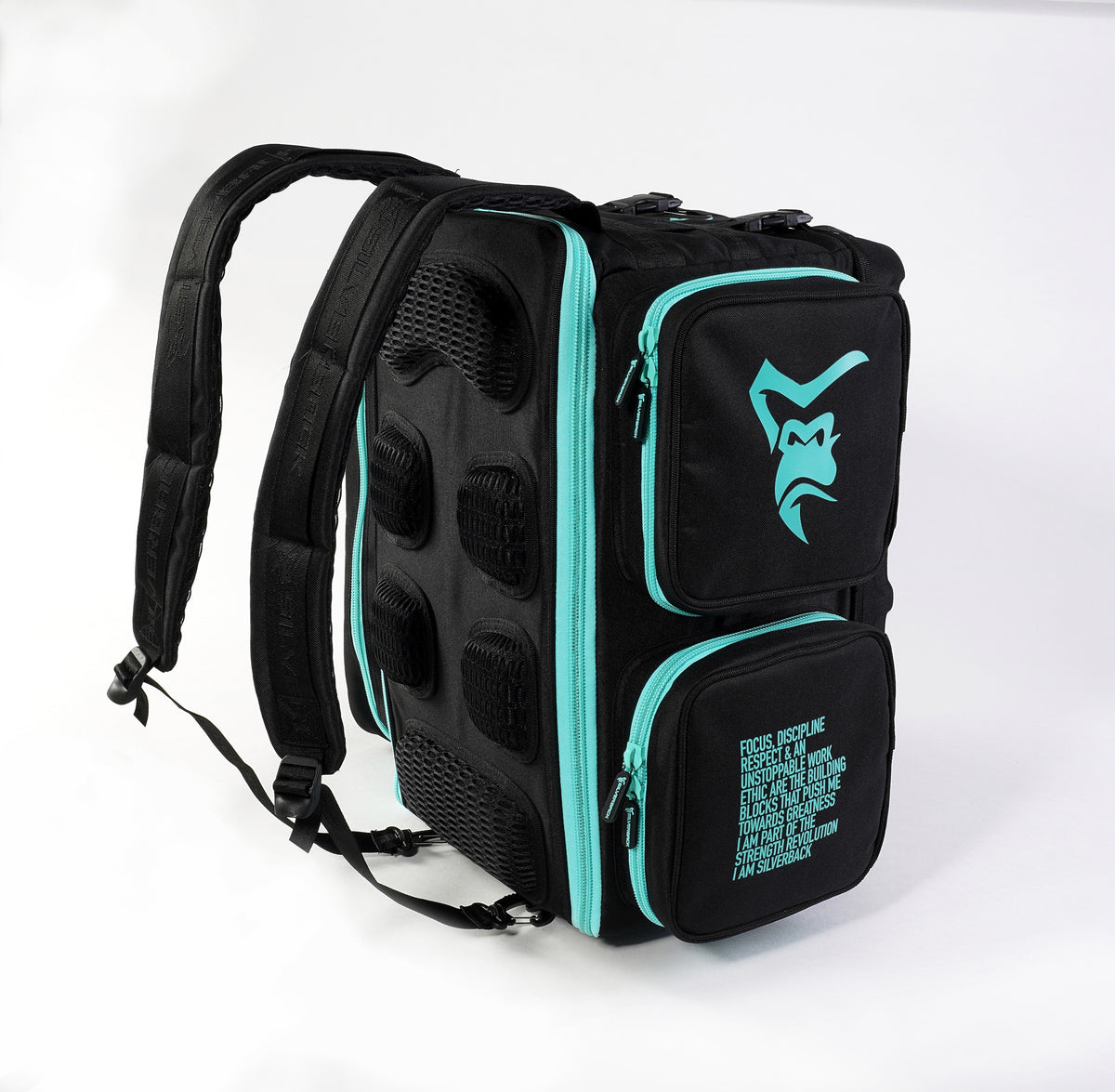 Fortis Pinnacle Athlete Bag – Silverback Gymwear
